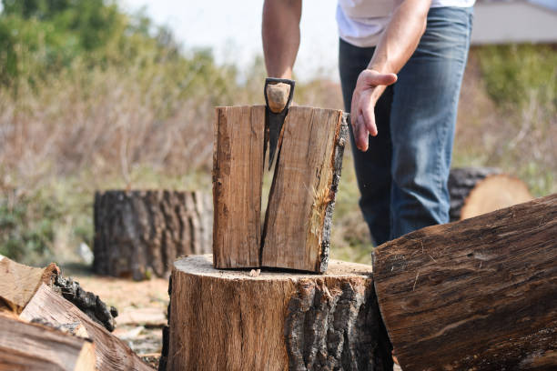 Chopping Wood Pictures | Download Free Images on Unsplash