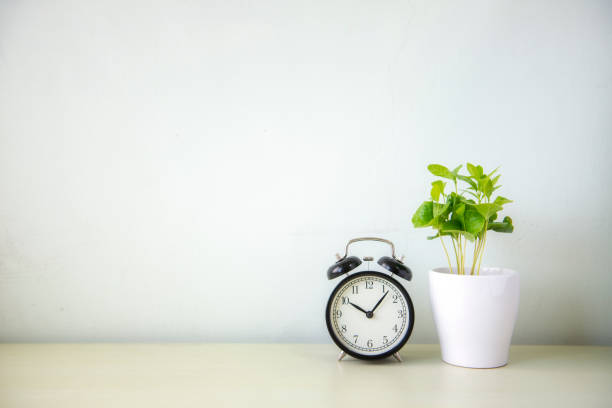 Free Stock Photo of White Shelf With Clock and Plants | Download Free ...