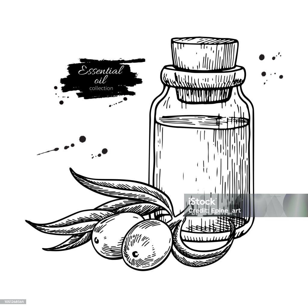 Argousier Bouteille Dhuile Essentielle Avec Main Berry Dessinée