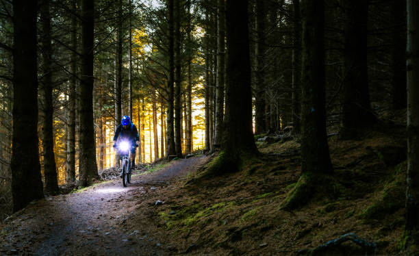 Free picture: bicycle, night