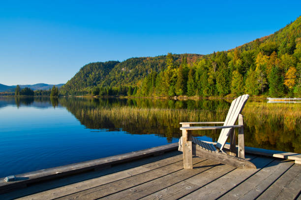 Free picture: lakeside, view