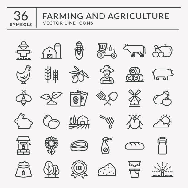 35 800 Farmer Icons ภาพประกอบสต็อก กราฟิกแบบเวกเตอร์ปลอดค่าลิขสิทธิ์