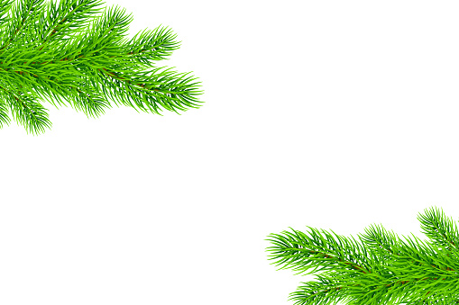 Cadre De Vacances Noël Avec Des Branches Darbre Sapin Modèle De