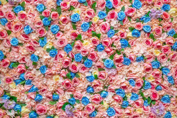 Wall Flower Pictures | Download Free Images on Unsplash