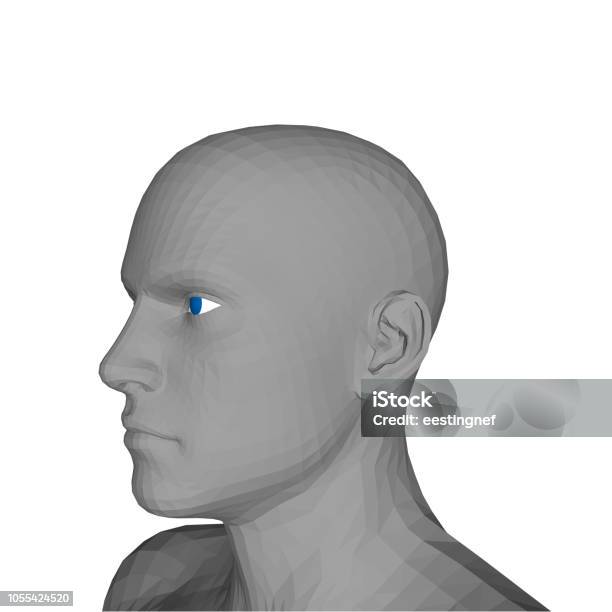 Tête De Lhomme Isolé Sur Fond Blanc Illustration Vectorielle Vecteurs