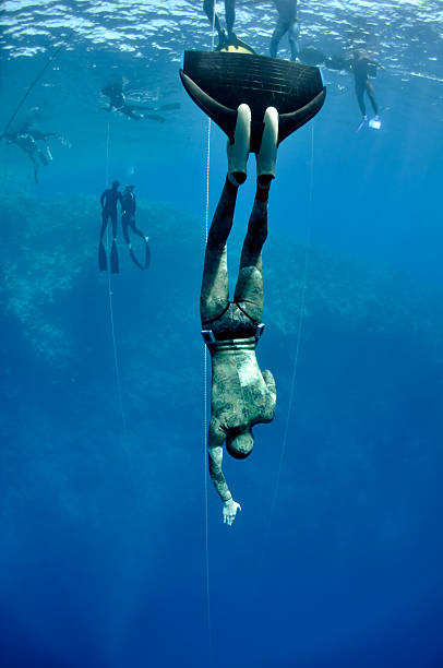 Freedive Pictures | Download Free Images on Unsplash