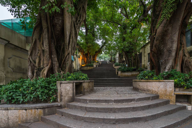 Free picture: Asia, China, staircase, stairs, traditional, park, tree ...