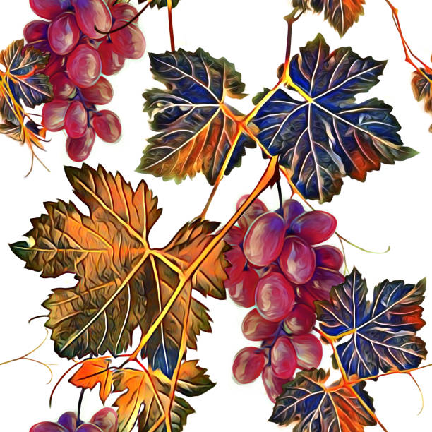 Download Grape, Harvest, Harvesting. Royalty-Free Stock Illustration ...