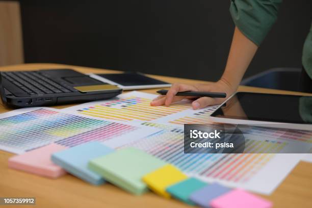 Desainer Interior Grafis Memilih Warna Dari Panduan Palet Katalog