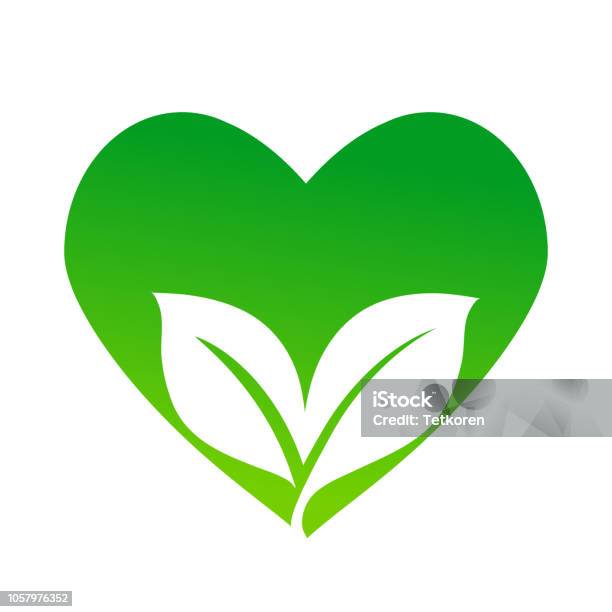 Icône De Vecteur Vert Avec Le Symbole Du Cœur Et Deux Feuilles Eco