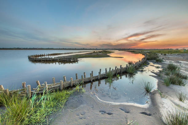 Free picture: lake, bank, erosion