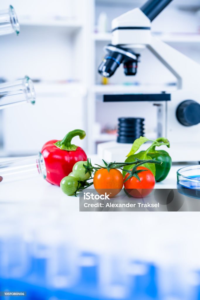 Laboratorium Kimia Pasokan Makanan Makanan Di Laboratorium Modifikasi ... Laboratorium Kimia Pasokan Makanan Makanan Di Laboratorium Modifikasi ...