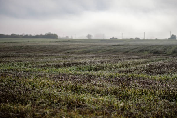 Blurred Motion View Of A Rural Field In Kurzeme, Latvia – Free Stock Photo