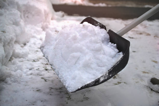 Snow Shovel Pictures | Download Free Images on Unsplash