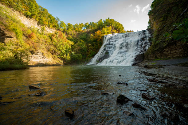 Cornell University Pictures | Download Free Images on Unsplash