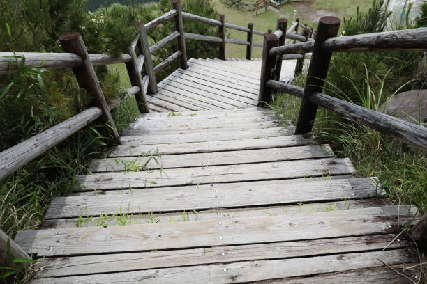 Free picture: Wooden bridge at Xinshe castle in resort area Taiwan