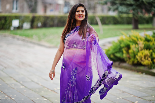 India Chica Hindú En Su Tradicional Sari Violeta Foto De Stock Y Más