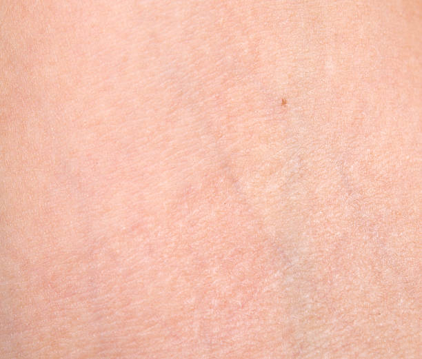 500+ Skin Texture Pictures [HD] | Download Free Images on Unsplash