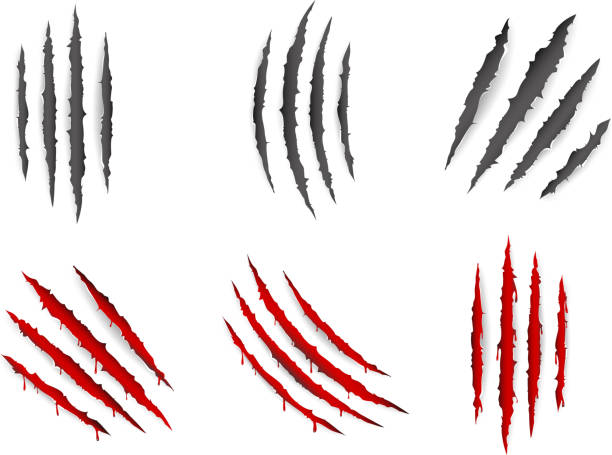 Claw Illustrations, Royalty-Free Vector Graphics & Clip Art - iStock Claw Illustrations, Royalty-Free Vector Graphics & Clip Art - iStock