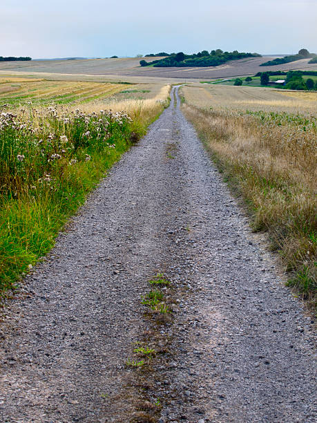Country Road Path Field - Free photo on Pixabay - Pixabay