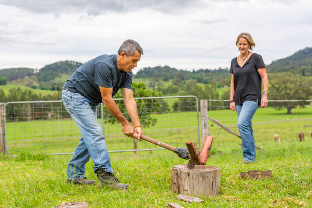 Chopping Wood Pictures | Download Free Images on Unsplash