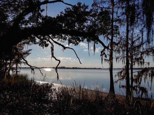 Free picture: tensas, river