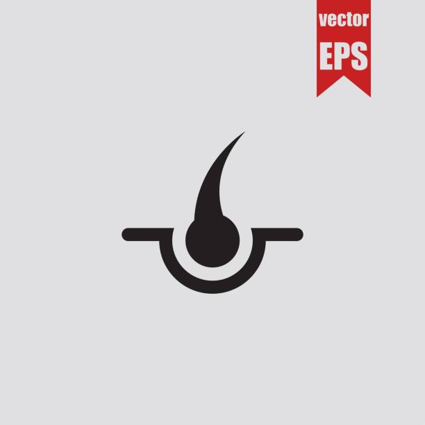 2800 Follicle Icon Stock Illustrations Royalty Free Vector Graphics