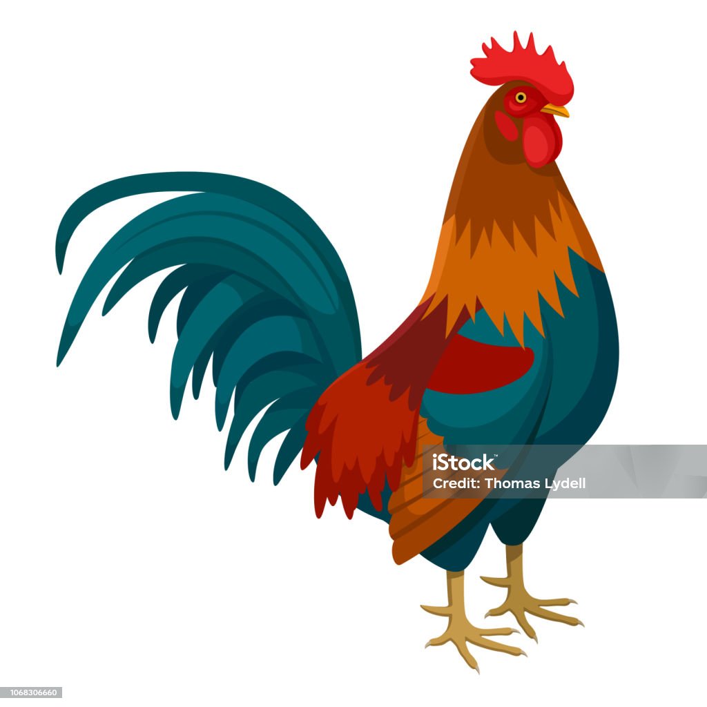 Download Kumpulan 72+ Gambar Ayam Ilustrasi HD Terbaik - Gambar Download Kumpulan 72+ Gambar Ayam Ilustrasi HD Terbaik - Gambar
