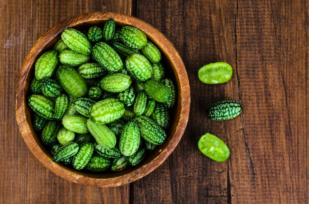 Cocomelon Pictures | Download Free Images on Unsplash
