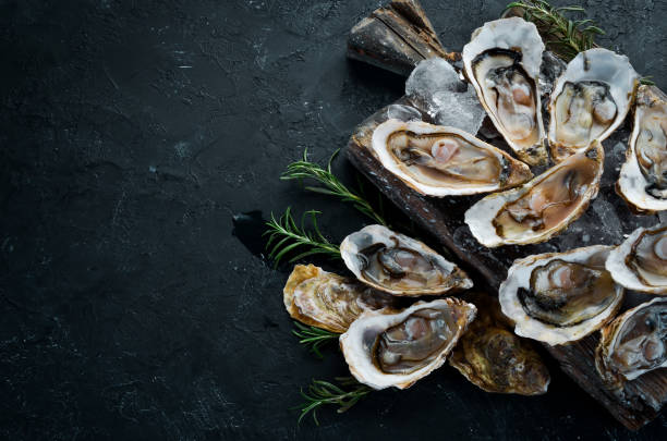 450+ Oyster Pictures [HD] | Download Free Images on Unsplash