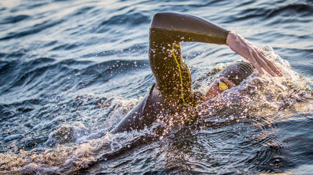 Open Water Swimming Pictures | Download Free Images on Unsplash