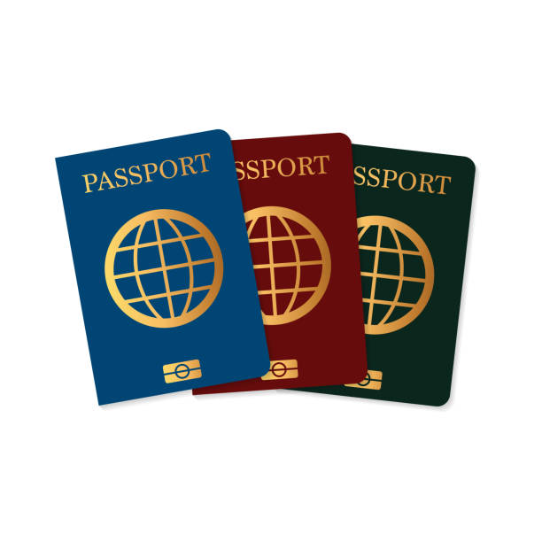 40 Passport Icon With Golden World Map Stock Illustrations Royalty