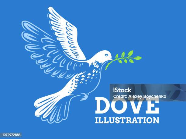 Gołąb Świata Gołąb W Locie Z Gałązką Gałązki Oliwnej Godło Wektorowe Projekt Ilustracji Na