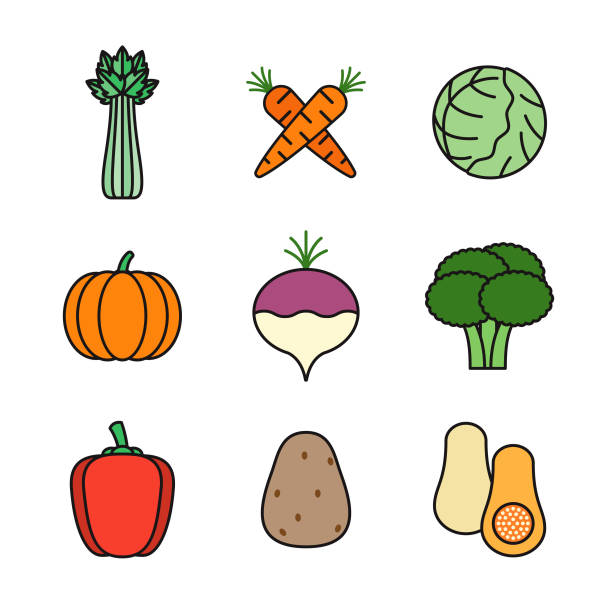 160 Squash Types Clip Art Illustrations Royalty Free Vector Graphics