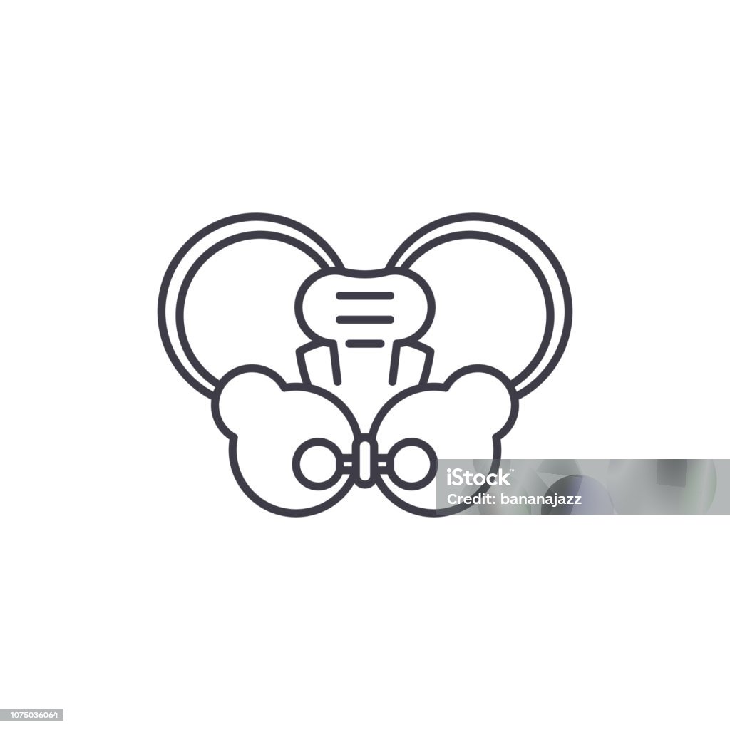 Concept De La Hanche Line Icône Illustration De Linéaire Vectorielle