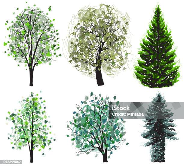 Ensemble Darbres Verts Feuillus Et De Conifères Vecteurs Libres De