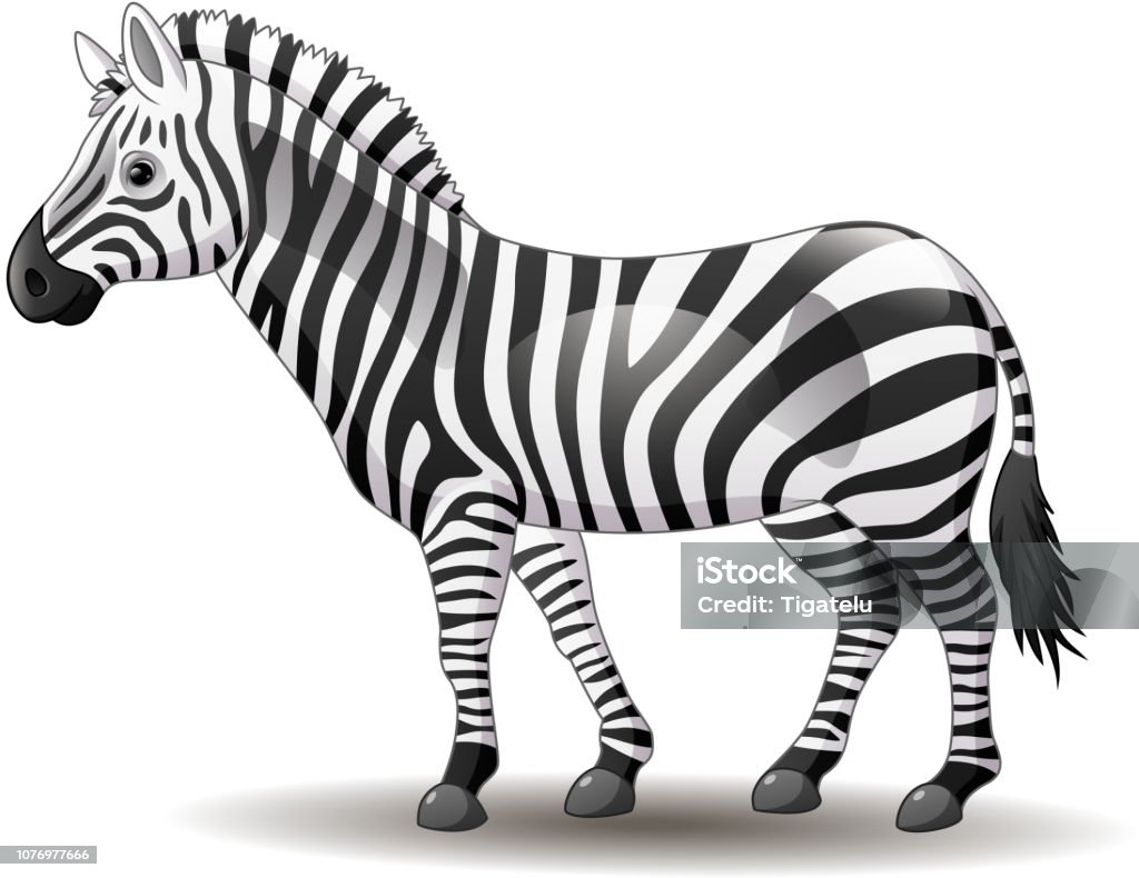 Kartun Zebra Lucu Berpose Terisolasi Di Latar Belakang Putih Ilustrasi ... Kartun Zebra Lucu Berpose Terisolasi Di Latar Belakang Putih Ilustrasi ...