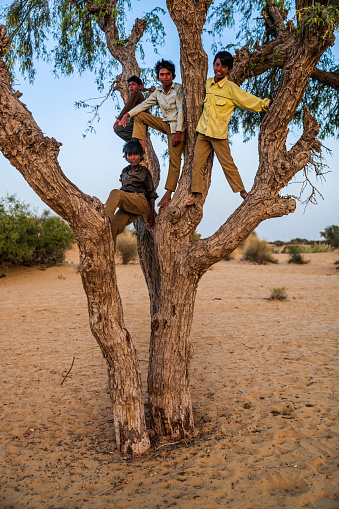 Grupo De Niños Indios Del Gitano Felizes Aldea Del Desierto India Foto