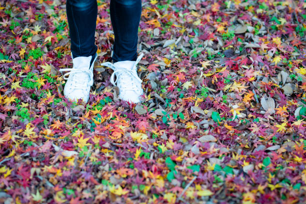 Free Stock Photo of White sneakers on fall foliage background ...