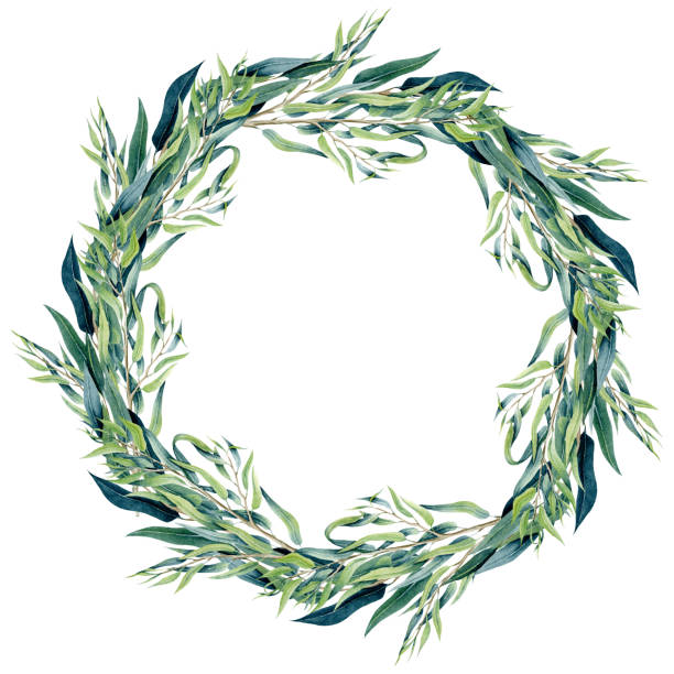 1,000+ Watercolor Olive Wreath Stock Illustrations, Royalty-Free Vector ... 1,000+ Watercolor Olive Wreath Stock Illustrations, Royalty-Free Vector ...