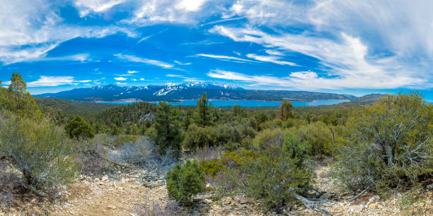 Big Bear Pictures | Download Free Images on Unsplash