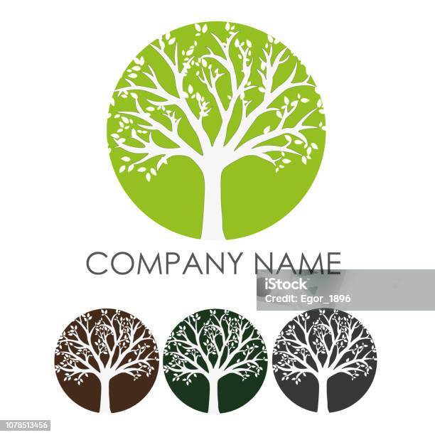 Logo Vectoriel Contour Darbre Arbre Silhouette Logo De Vecteur Vecteurs