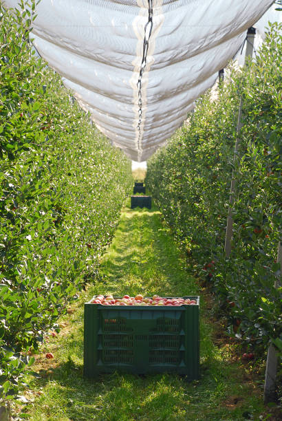 Free orchard management stock photos. Download the best free orchard ...