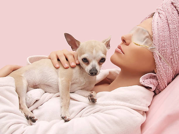 Dog Spa Pictures | Download Free Images on Unsplash