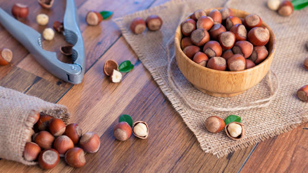 Hazelnut Tree Pictures | Download Free Images on Unsplash