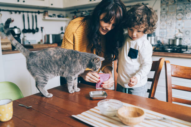 Cat Owner Pictures | Download Free Images on Unsplash