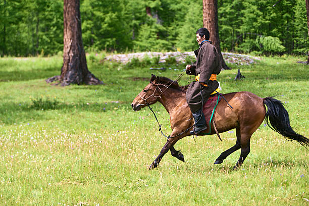 Horse Standing Pictures | Download Free Images on Unsplash