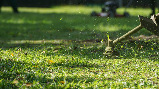 Garden Maintenance Pictures | Download Free Images on Unsplash