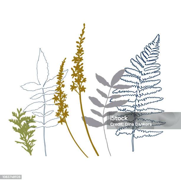 Ilustrasi Botani Vektor Bunga Dengan Daun Yang Digambar Dengan Tangan