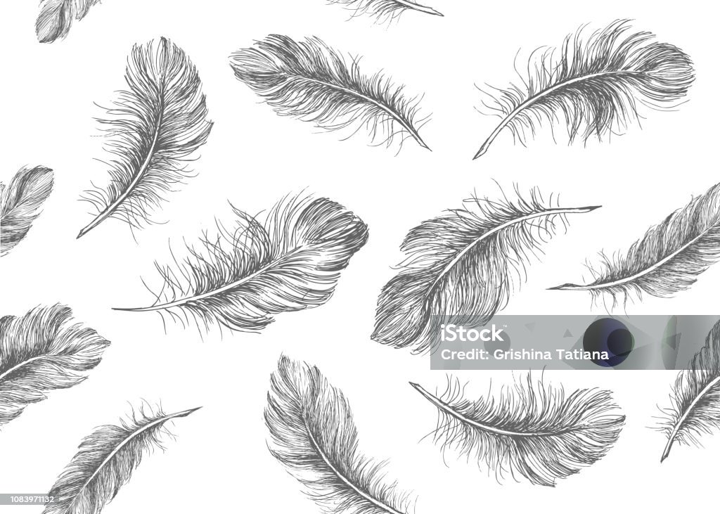Bulu Yang Digambar Dengan Tangan Di Latar Belakang Putih Ilustrasi Stok